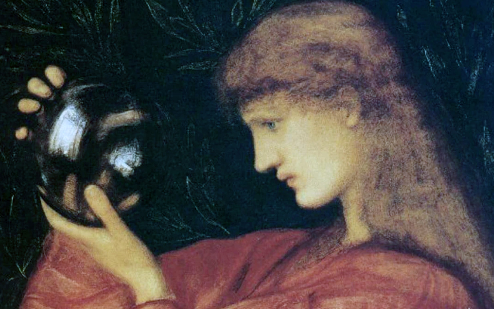 Klymkowsky Lab : cell and molecular biology, Xenopus, course ...